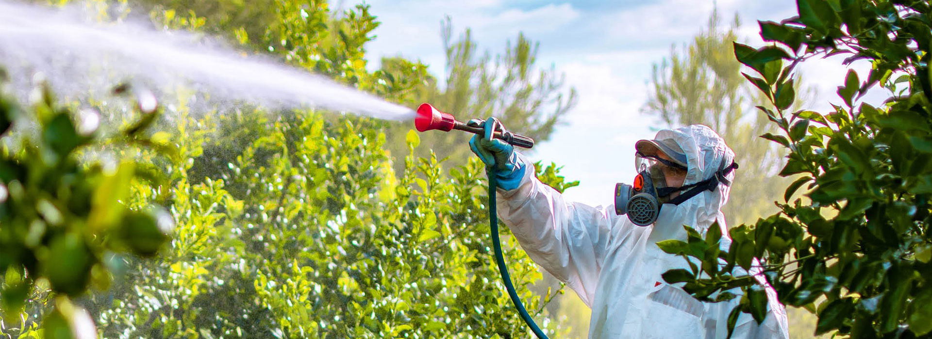 Corso di formazione per patentino fitosanitari online - Il Portale del ...